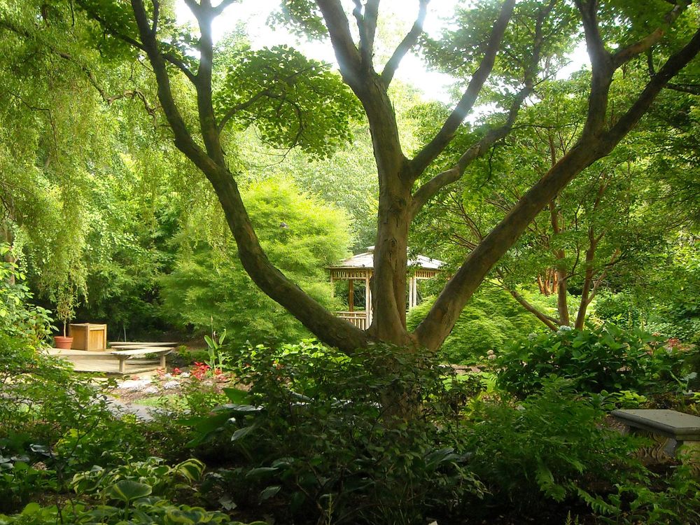 Walking through the Hahn Horticulture Garden on Virginia Tech's campus ...