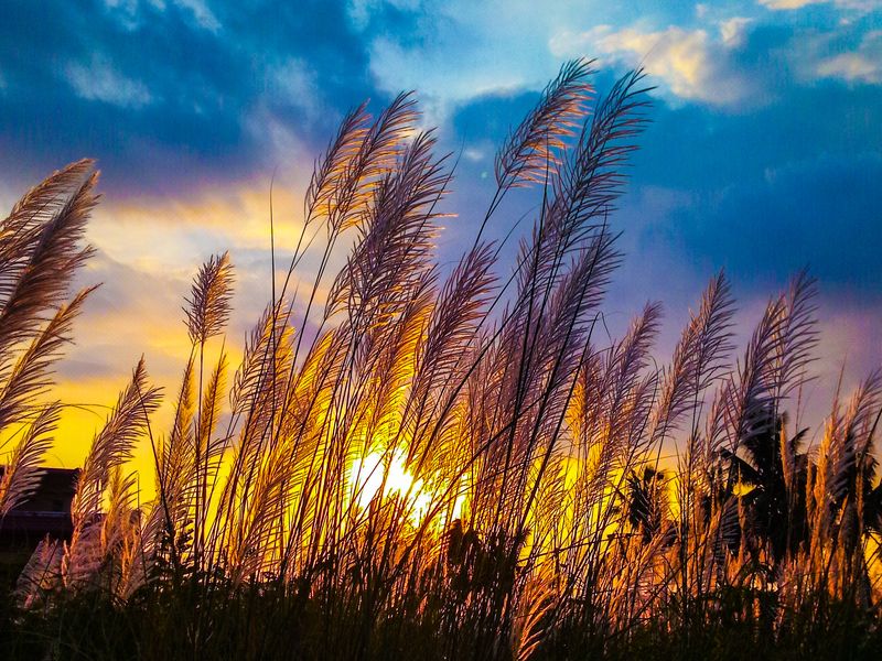 Where the Wind Blows | Smithsonian Photo Contest | Smithsonian Magazine