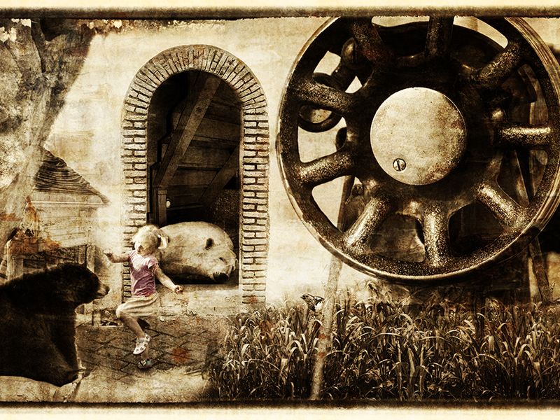 The True Story of Goldilocks | Smithsonian Photo Contest | Smithsonian ...