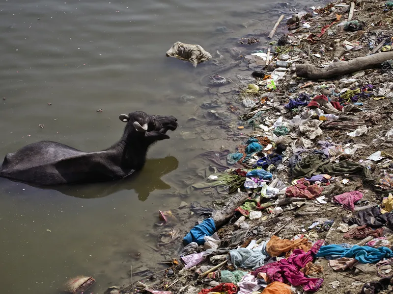 garbage in the ganges | Smithsonian Photo Contest | Smithsonian Magazine