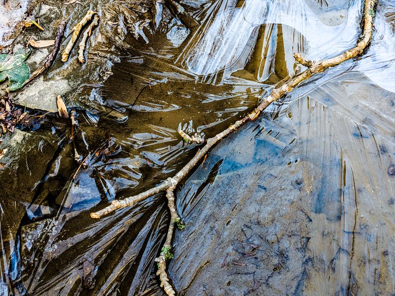 Frozen Puddle | Smithsonian Photo Contest | Smithsonian Magazine
