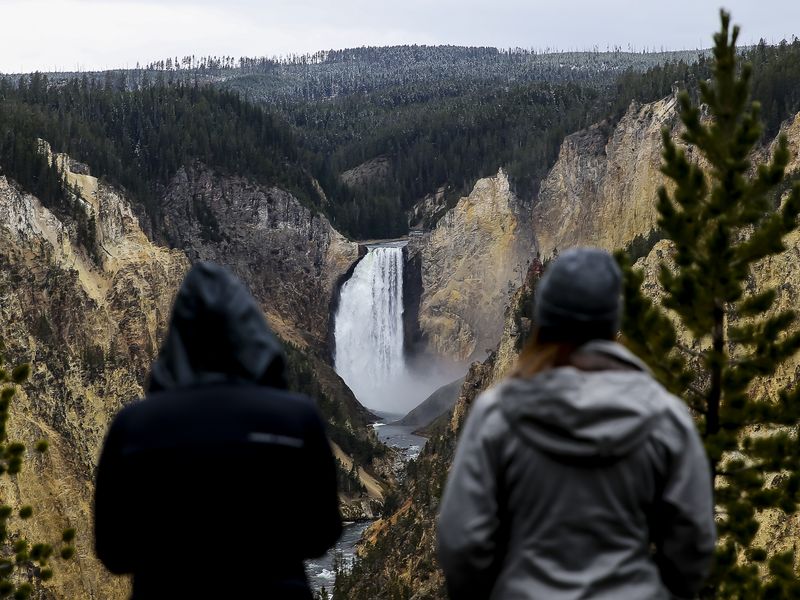 Why is it called Yellowstone | Smithsonian Photo Contest | Smithsonian ...