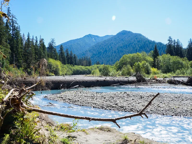 The Hoh River | Smithsonian Photo Contest | Smithsonian Magazine