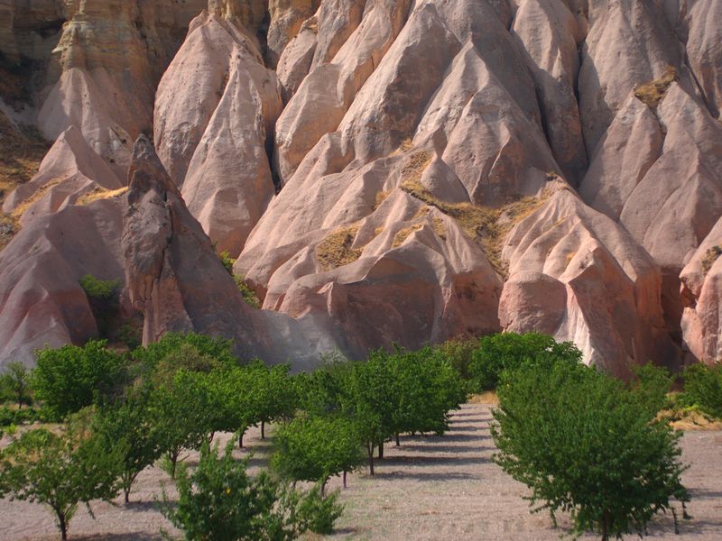 The Rose Valley | Smithsonian Photo Contest | Smithsonian Magazine
