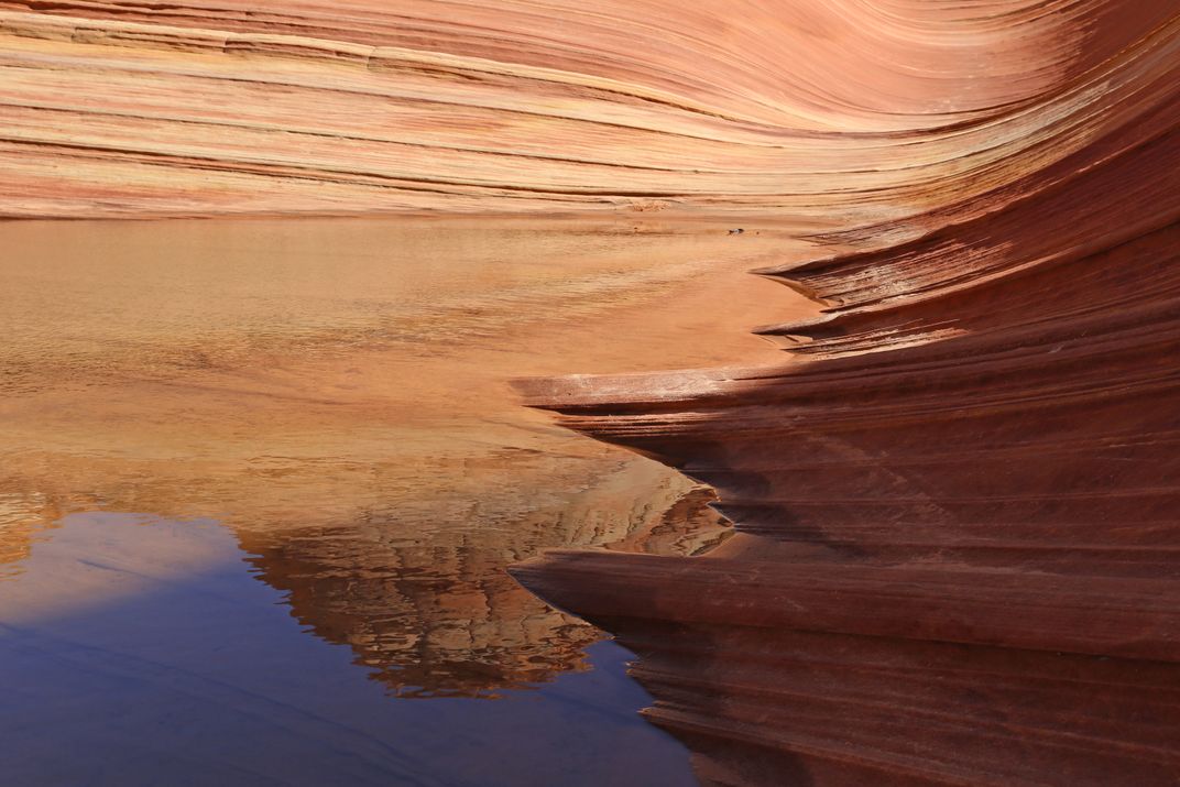 Wave | Smithsonian Photo Contest | Smithsonian Magazine