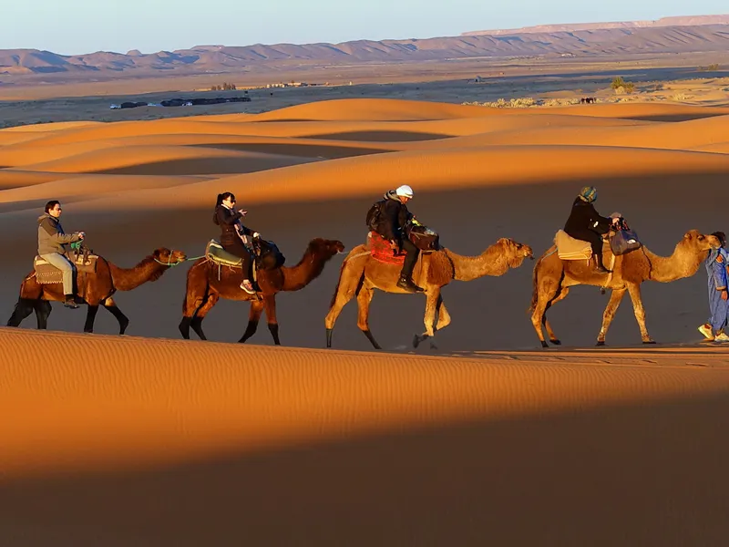 Camel ride in Sahara sunset | Smithsonian Photo Contest | Smithsonian ...
