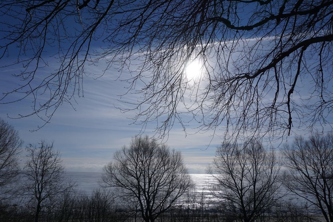 Trees Whispering in the Night on the Lake | Smithsonian Photo Contest ...