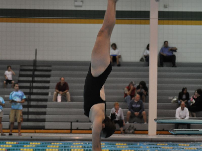 Watching my daughter at a High School Swim/Dive meet. | Smithsonian ...