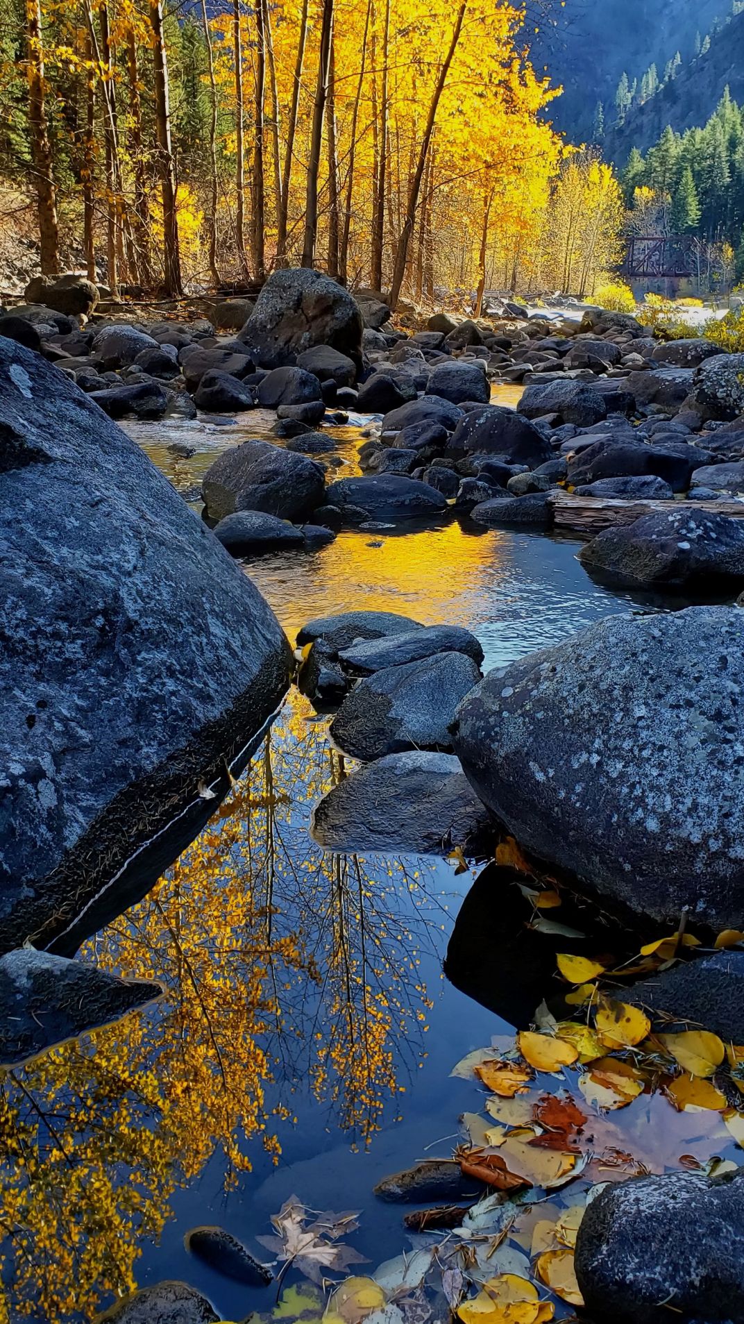 Fall color puddle reflection on Menatchee River | Smithsonian Photo ...