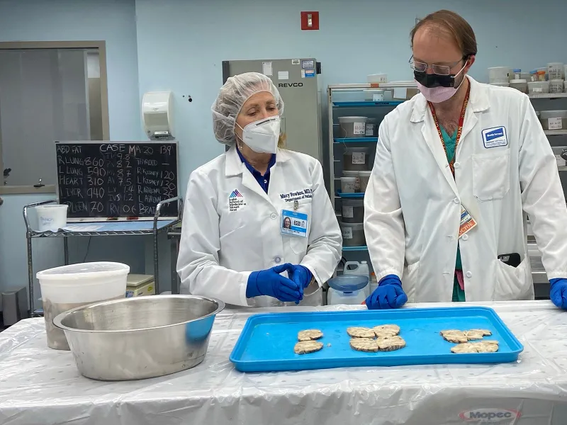 Forensic Pathologist Autopsy