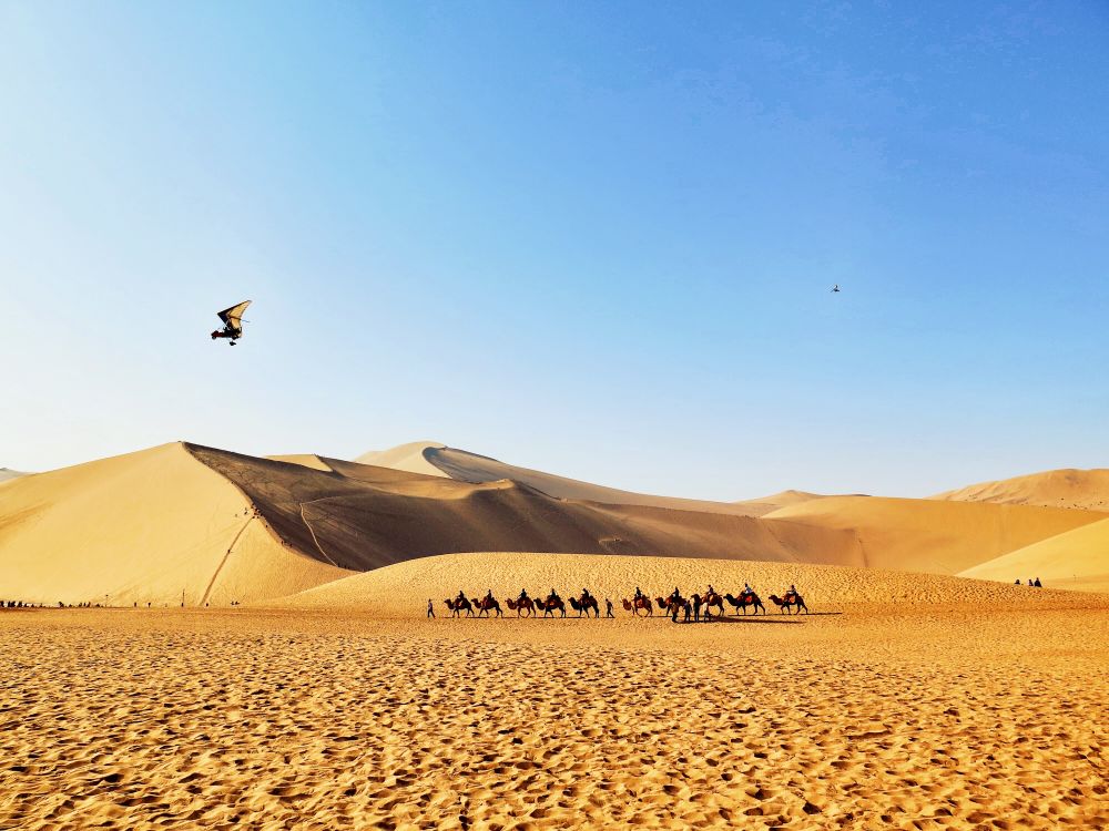 Flying Over the Desert | Smithsonian Photo Contest | Smithsonian Magazine
