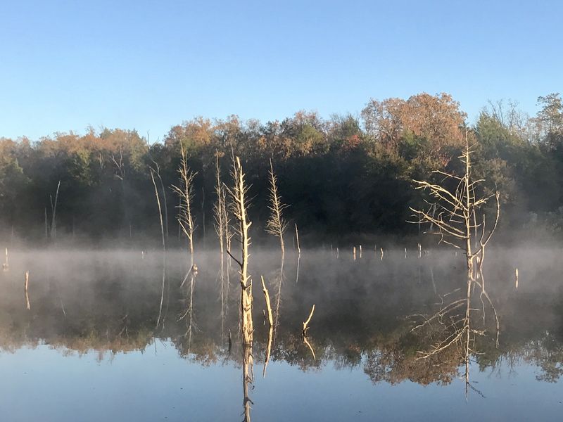 Fog crossing the lake in early morning | Smithsonian Photo Contest ...