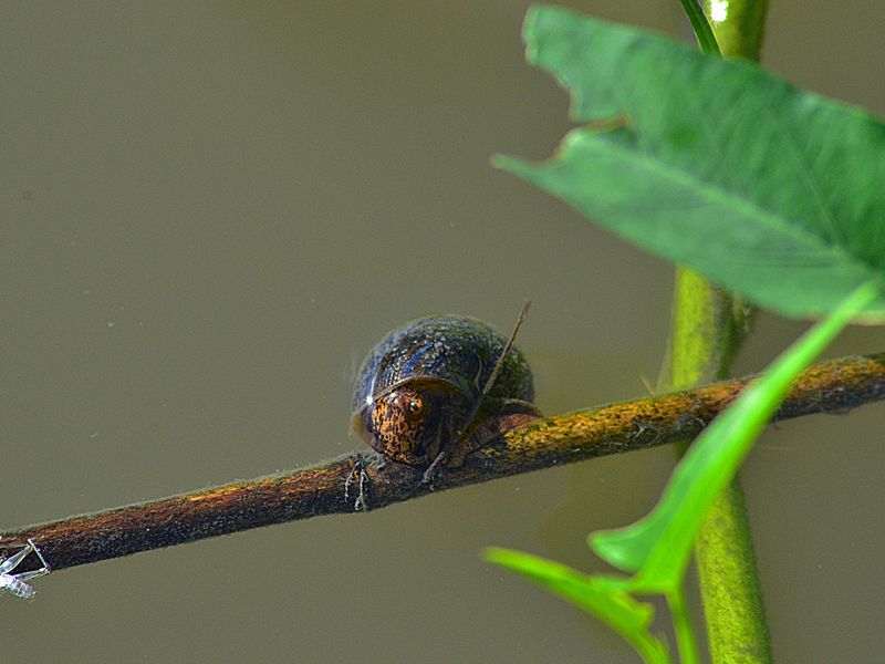 Wary Eye | Smithsonian Photo Contest | Smithsonian Magazine