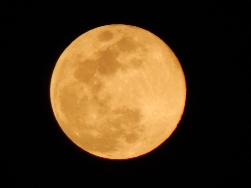 The moon white at home looking to the sky | Smithsonian Photo Contest ...