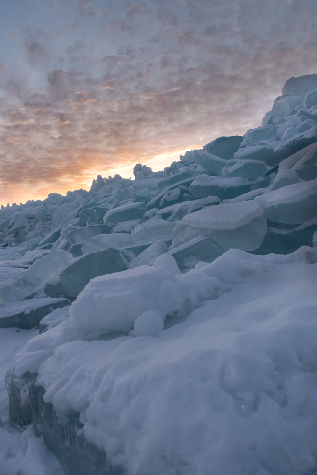 Frozen | Smithsonian Photo Contest | Smithsonian Magazine