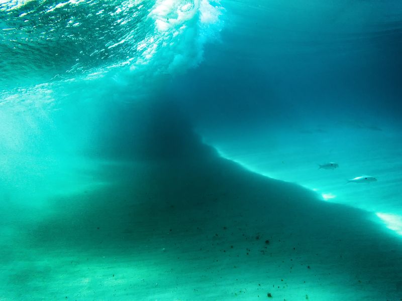 Submerged World | Smithsonian Photo Contest | Smithsonian Magazine