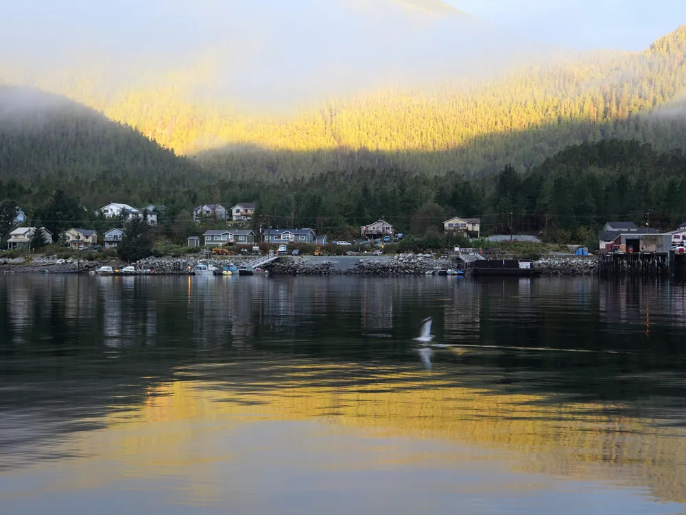 This Rare, White Bear May Be the Key to Saving a Canadian Rainforest