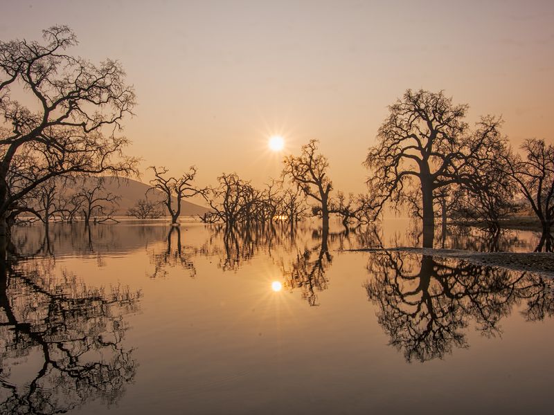 Smoky Sunrise at a California Swamp | Smithsonian Photo Contest ...