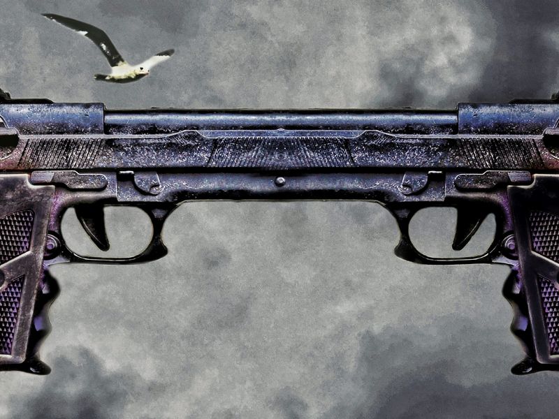 Duality of the Karma Gun | Smithsonian Photo Contest | Smithsonian Magazine
