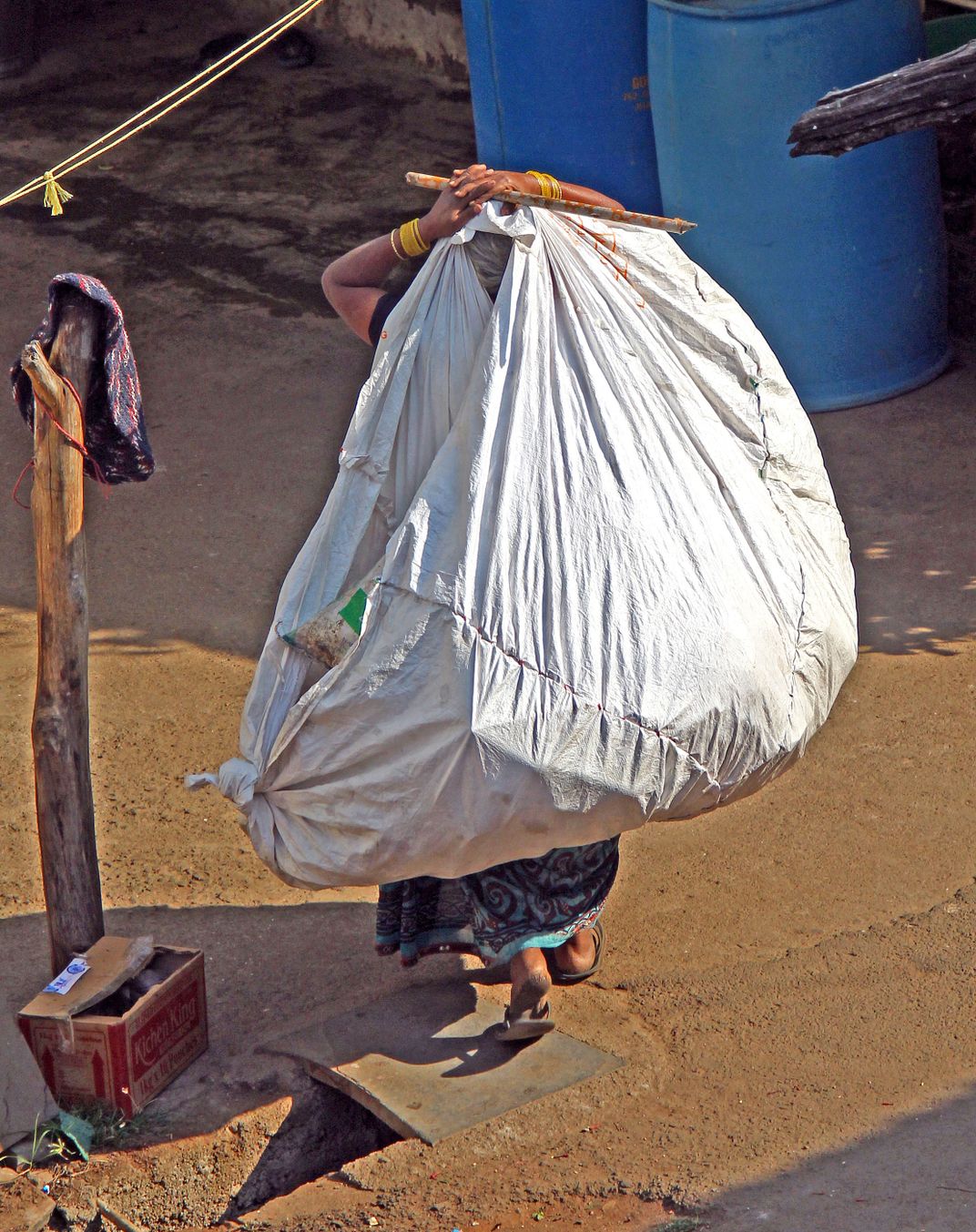 The Scrap Collector Woman | Smithsonian Photo Contest | Smithsonian ...