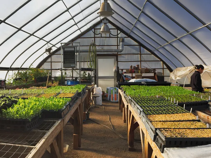 Greenhouse | Smithsonian Photo Contest | Smithsonian Magazine