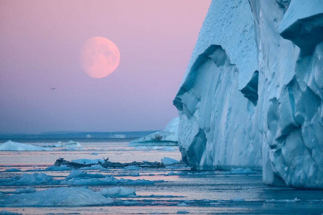 Icebergs facing Pink moon | Smithsonian Photo Contest | Smithsonian ...
