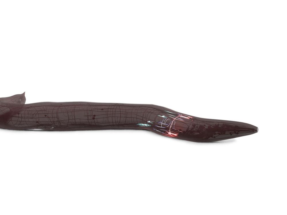 How to Create a Virtual Organism