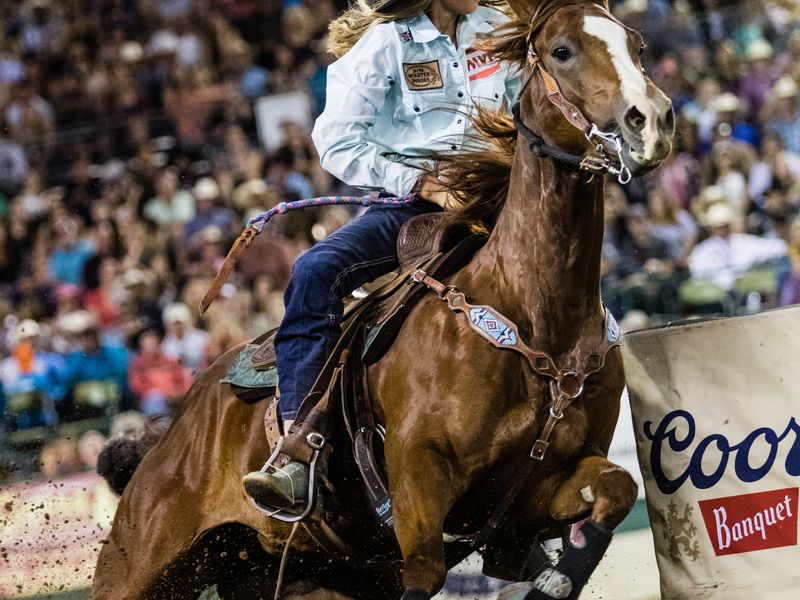 Barrel racing at the Reno Rodeo | Smithsonian Photo Contest ...