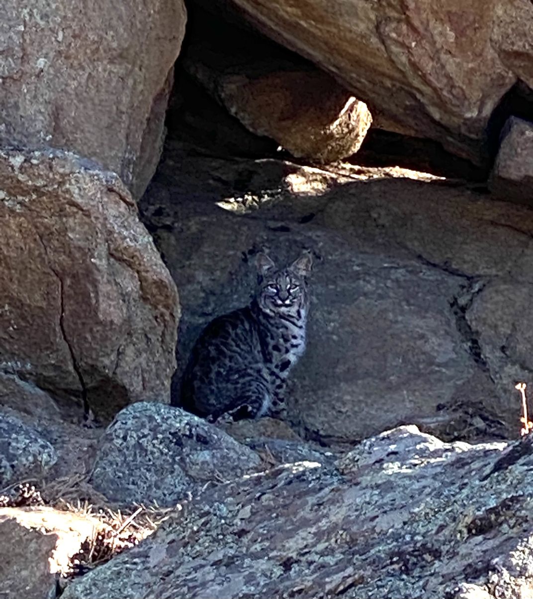 Home Among the Rocks | Smithsonian Photo Contest | Smithsonian Magazine