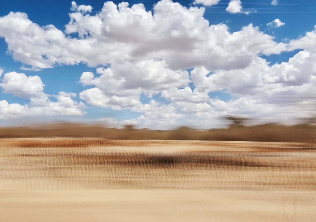 when cattle pass | Smithsonian Photo Contest | Smithsonian Magazine