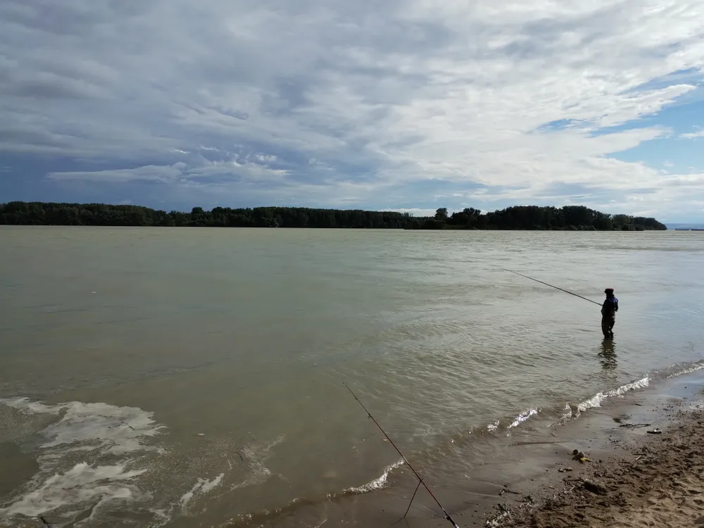 A man fishing in the middle of the river, on a summer day ...