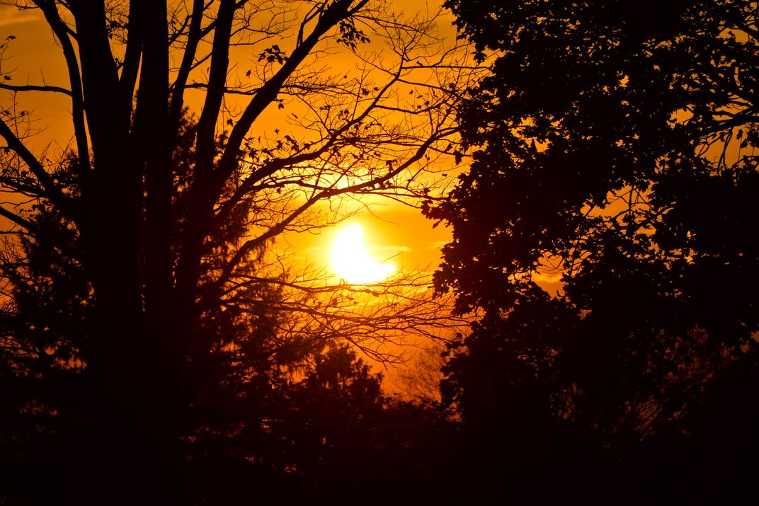 Solar Sun | Smithsonian Photo Contest | Smithsonian Magazine