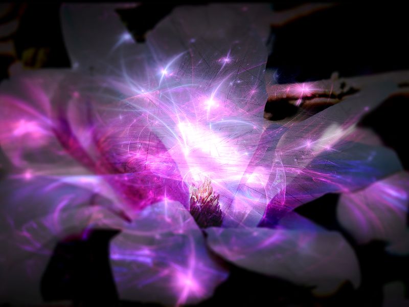 Cosmic Flower | Smithsonian Photo Contest | Smithsonian Magazine