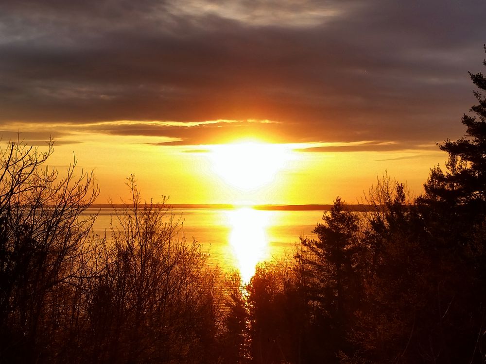 Sunrise in the neighborhood | Smithsonian Photo Contest | Smithsonian ...