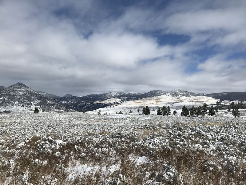 Valley in Yellowstone National Park | Smithsonian Photo Contest ...