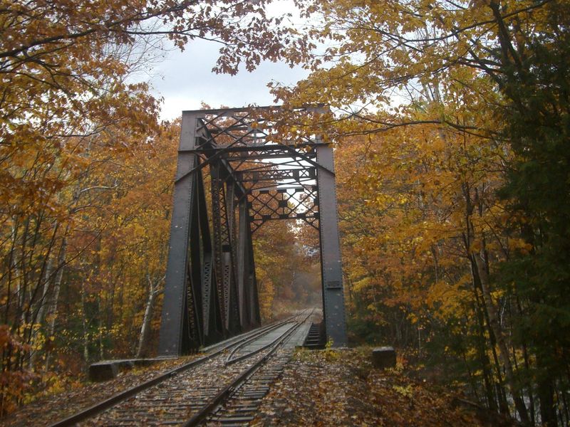 RR Trussell in woods in NH during fall | Smithsonian Photo Contest ...