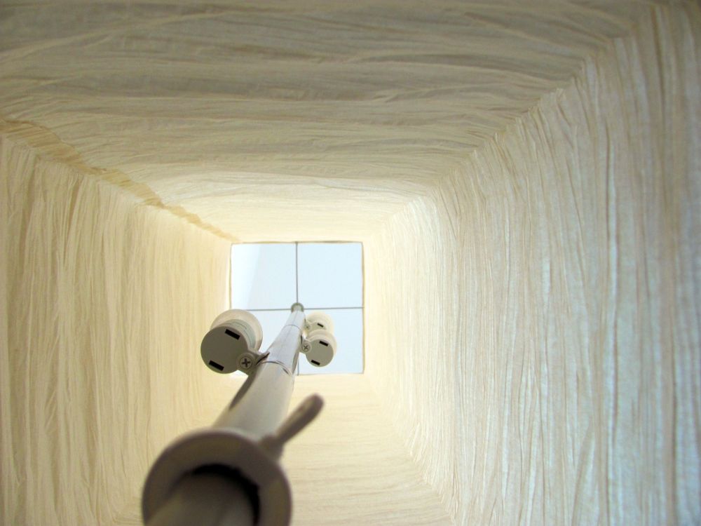 Ant's eye view | Smithsonian Photo Contest | Smithsonian Magazine