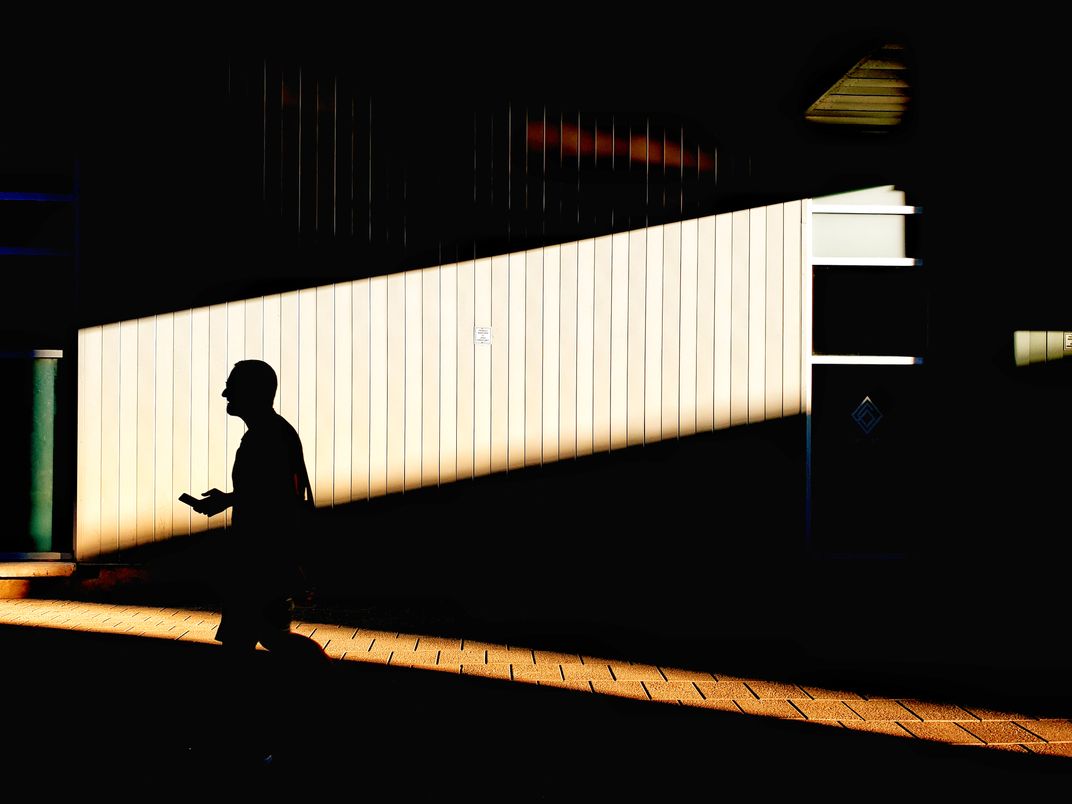 Lurking in the Shadows | Smithsonian Photo Contest | Smithsonian Magazine