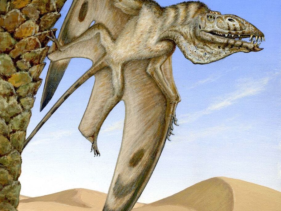 dinosaur pterosaur