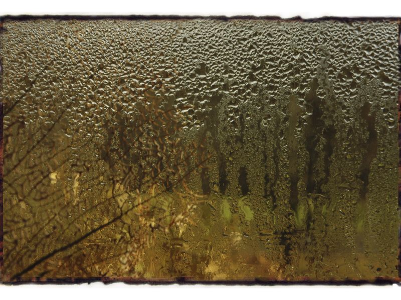 Ephemeral Landscape November 11, 2017 | Smithsonian Photo Contest ...