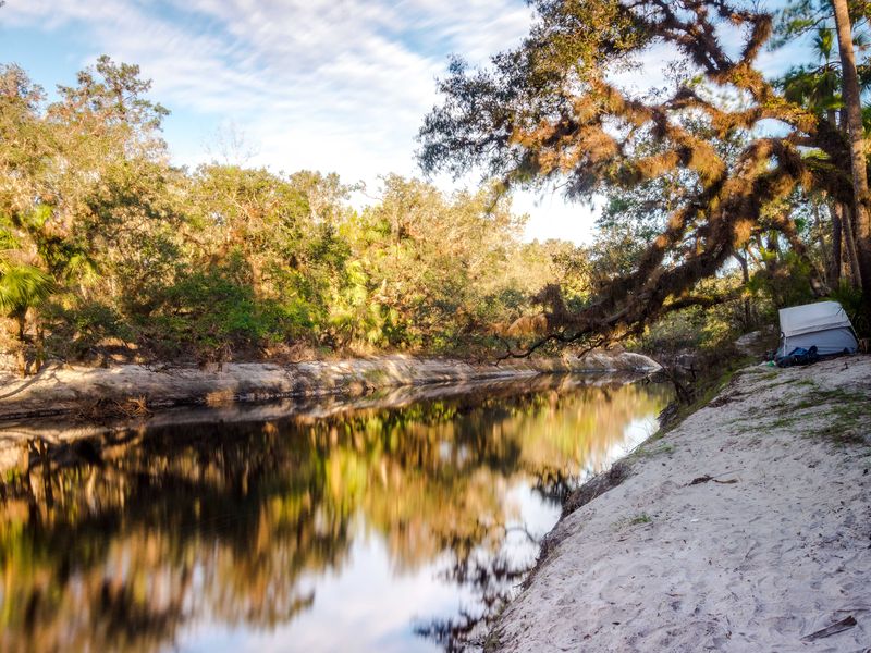 Camping under a Live Oak on the Little Econ River | Smithsonian Photo ...