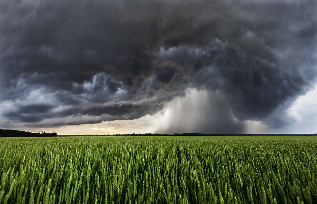The open wheat fields of rural North Carolina provide the perfect ...