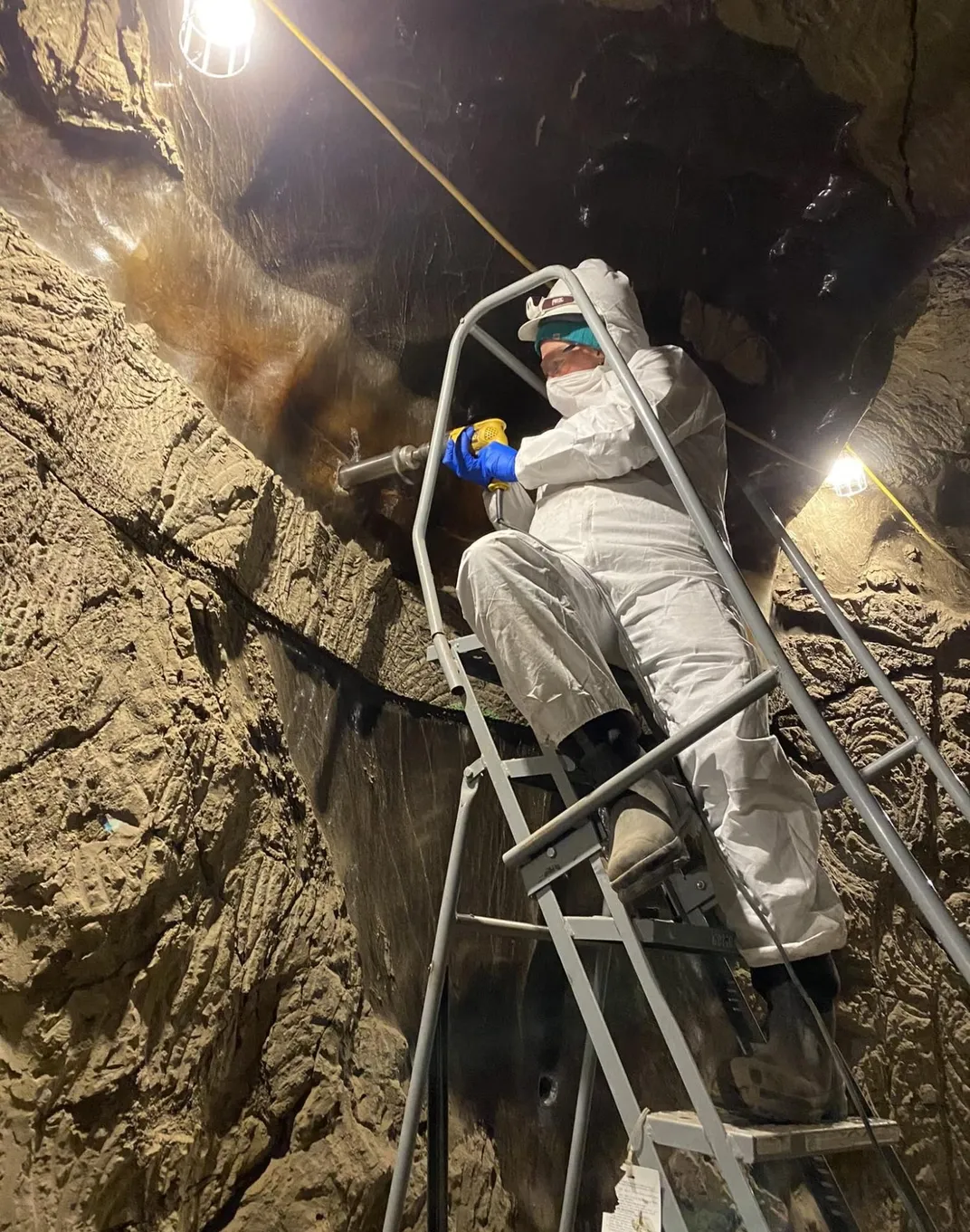 Scientists Resurrect 40,000-Year-Old Microbes From Alaskan Permafrost ...