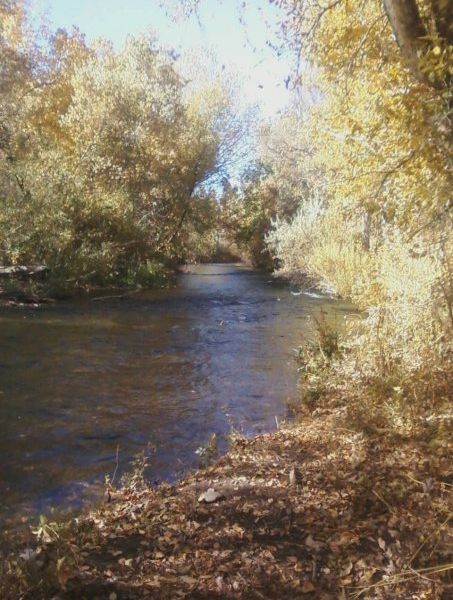 During the fall weather in Provo, UT, along the Provo River ...