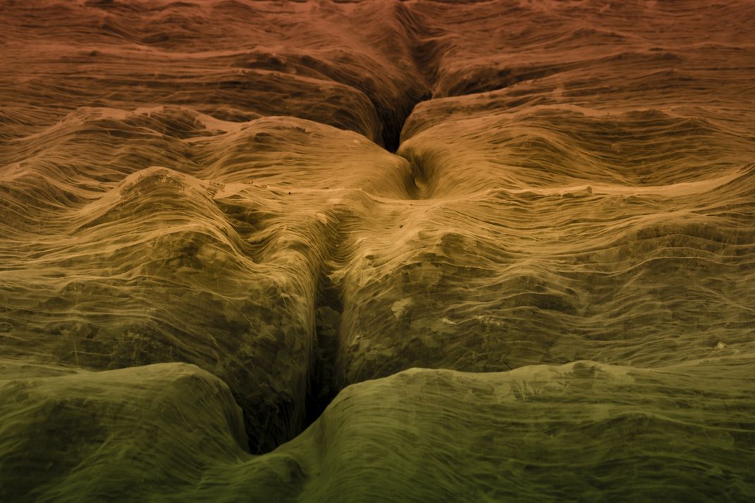 Potatoes on Mars I – Covered Potato Field | Smithsonian Photo Contest ...
