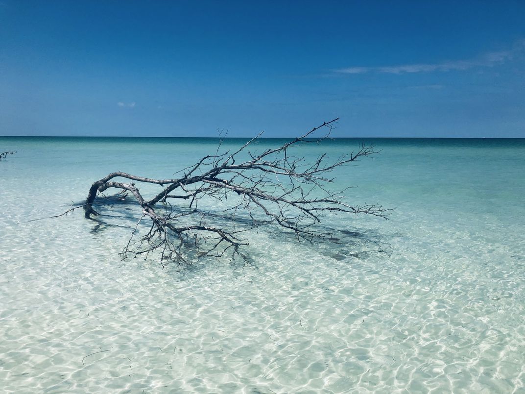 Death in Nature’s Beauty | Smithsonian Photo Contest | Smithsonian Magazine