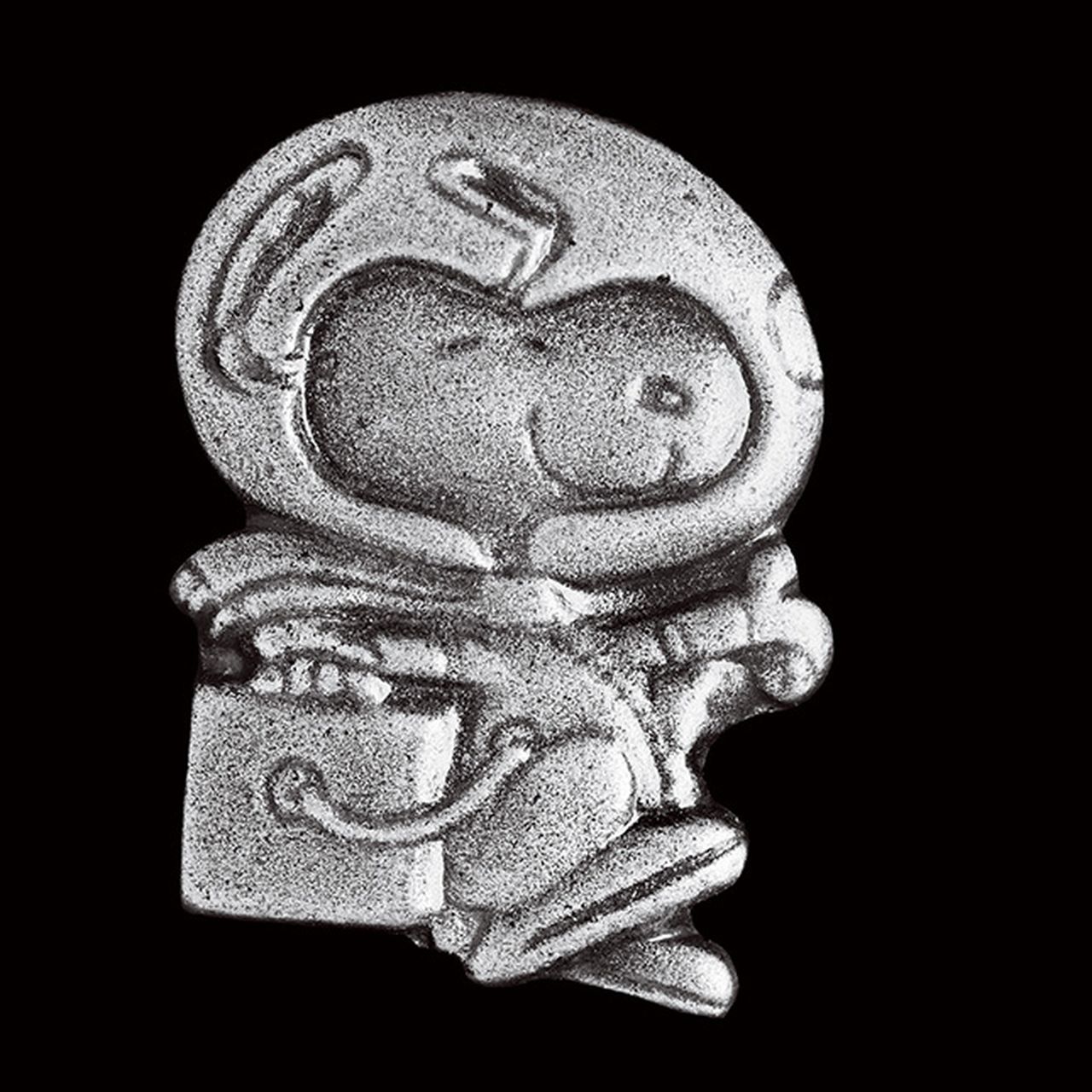 nasa snoopy