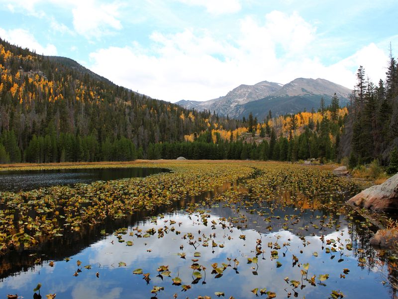 Cub Lake hike with parents in Rocky Mountain National Park ...