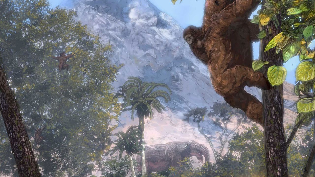 morotopithecus fossil locality