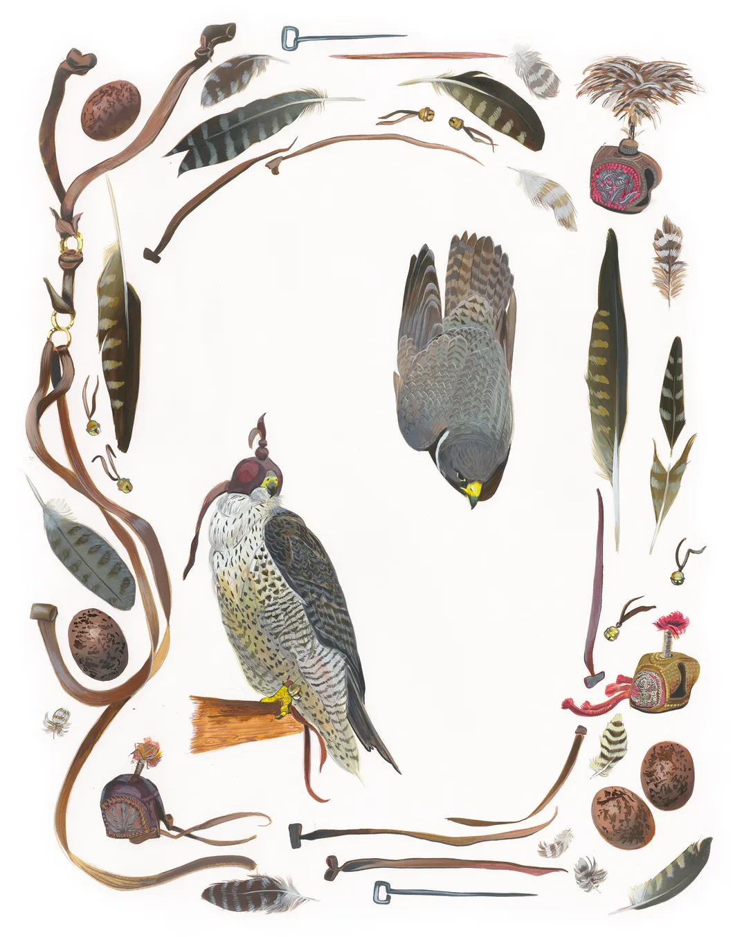 Shakespeare Referenced Dozens of Bird Species in His Work. This Artist ...